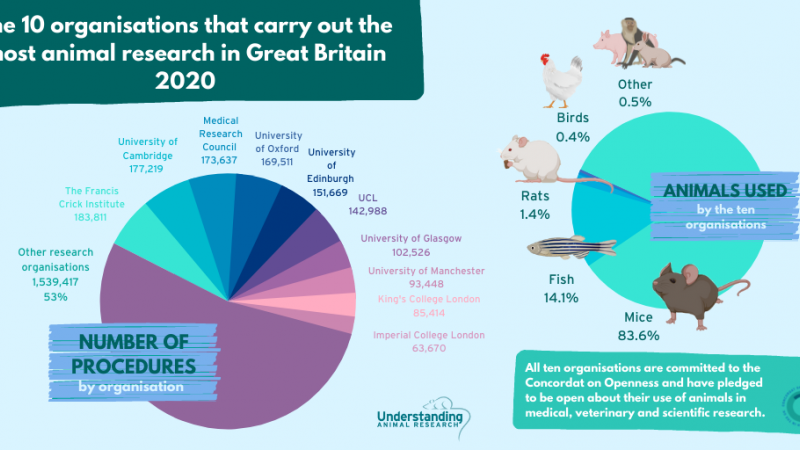 Why 90% of drugs tested on animals fail