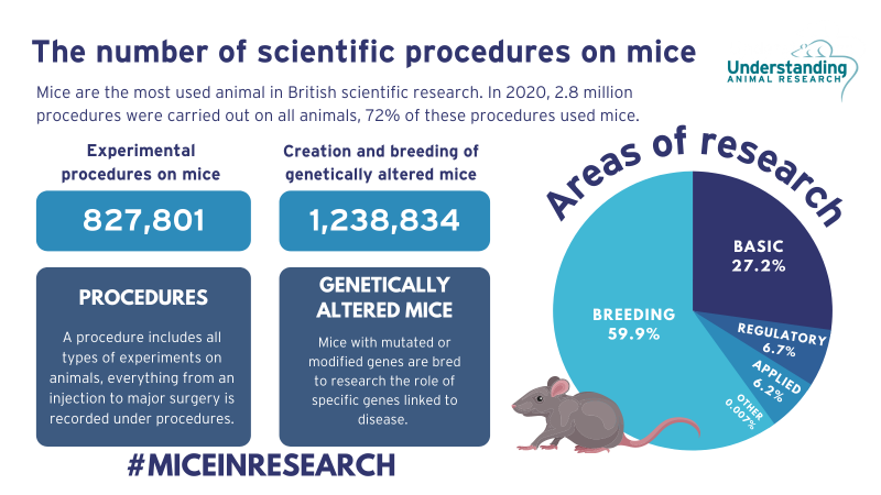 Mice in research statistics for Great Britain, 2020 (procedure purpose ...