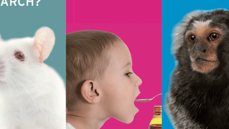 Leaflets :: Understanding Animal Research