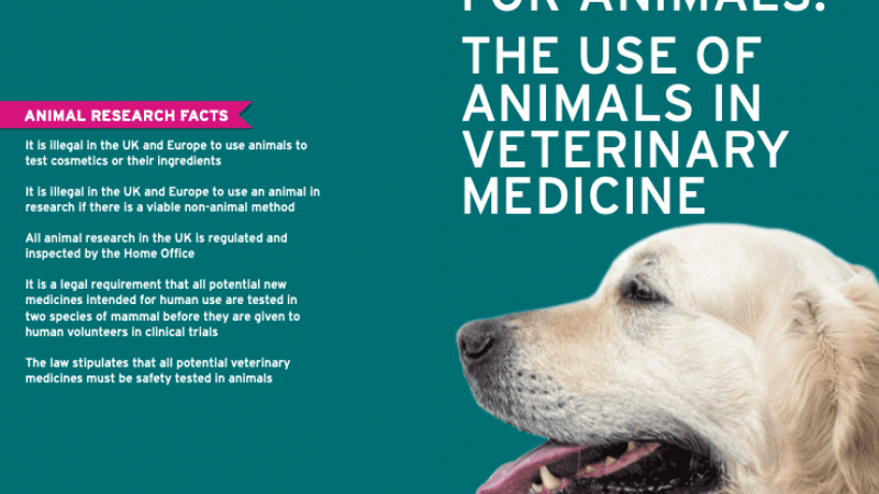 Animal Research for Animals :: Understanding Animal Research