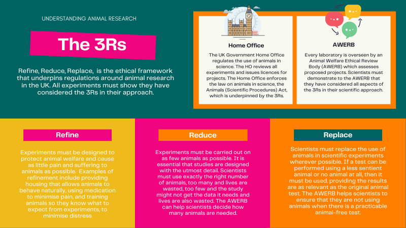 Refinement, reduction, replacement - the 3Rs
