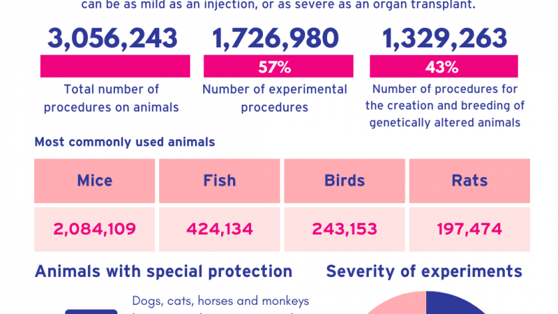 Animal research statistics for Great Britain, 2021 :: Understanding ...