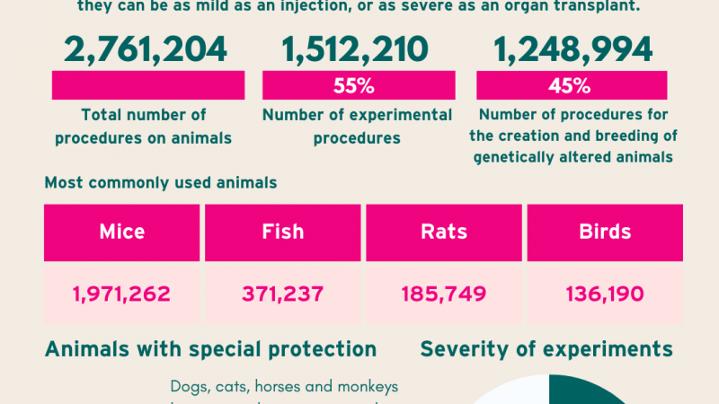 2023 Animal Research Statistics :: Understanding Animal Research