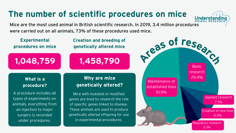 Number of scientific procedures on mice in 2019