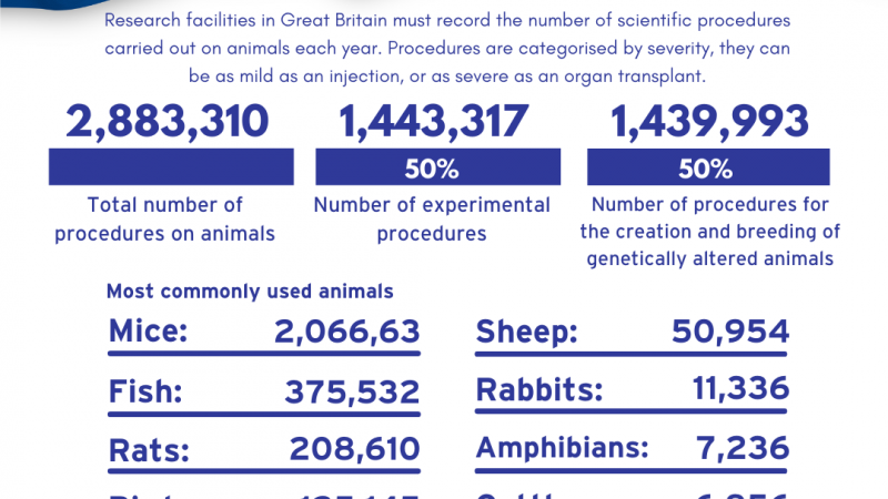 Animal research statistics for Great Britain, 2020 :: Understanding ...