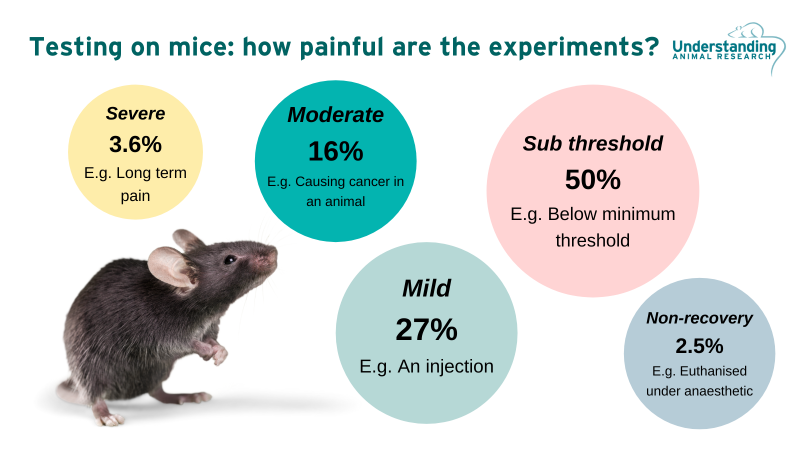 Sixty years on: the history of the thalidomide tragedy :: Understanding ...