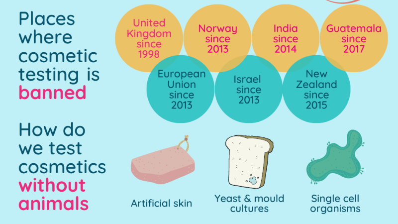 Cosmetic testing and animals