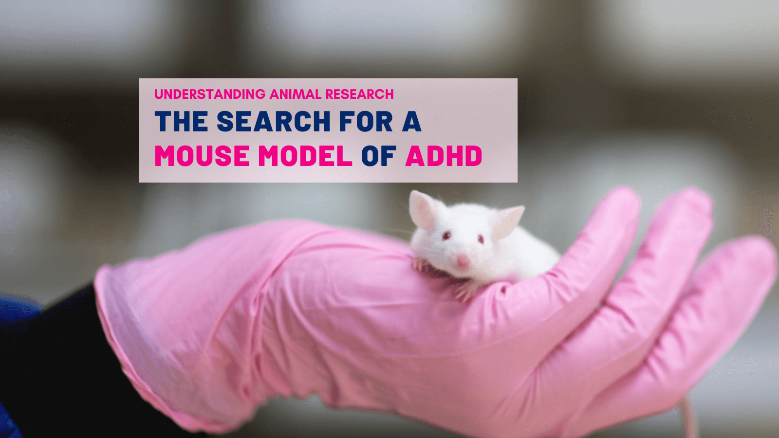 On The Search For A Mouse Model Of ADHD Understanding Animal Research