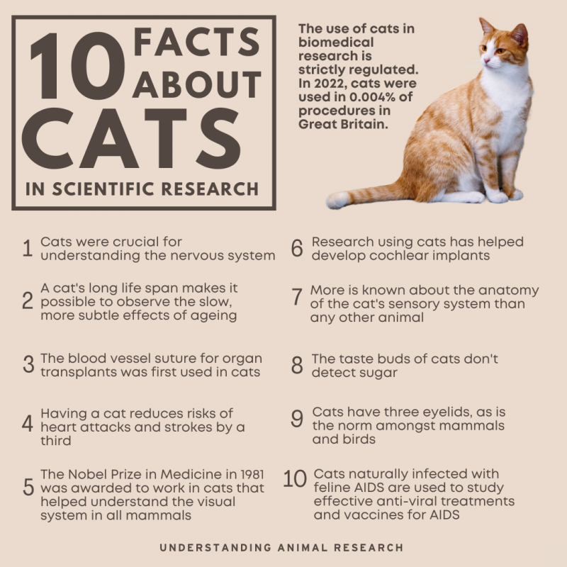 Infographics