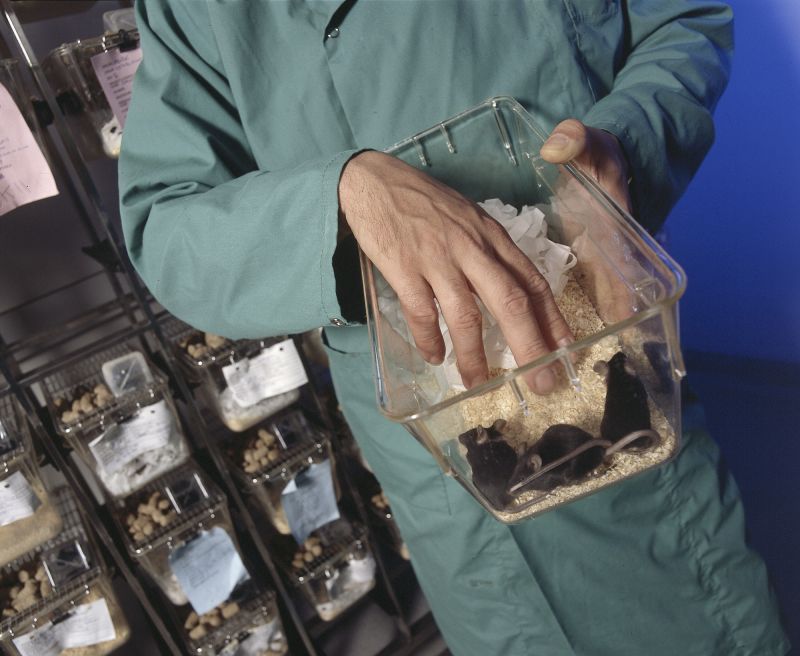 Image library :: Understanding Animal Research