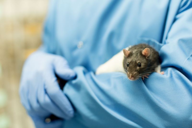 Image library :: Understanding Animal Research