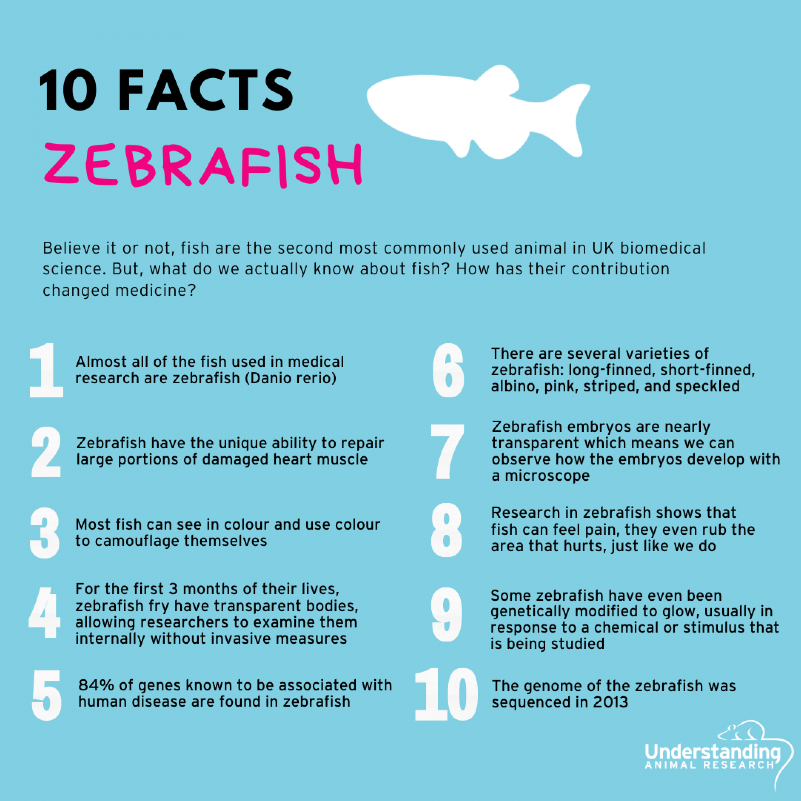 10 Facts About Fish